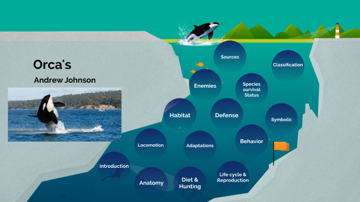 Orca Presentation by Andrew Johnson on Prezi