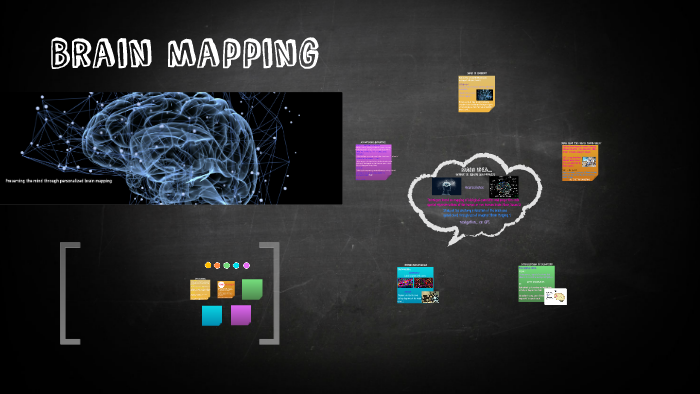 Brain mapping by Renee-Lise Simard