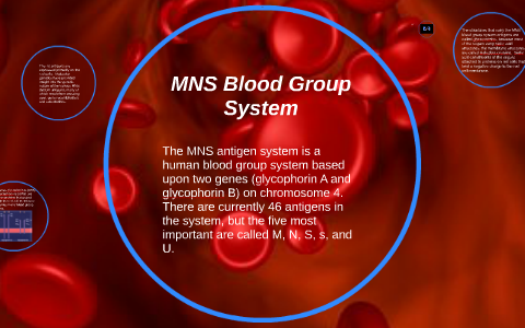 MNS Blood Group by Heather Taylor on Prezi