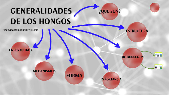 GENERALIDADES DE LOS HONGOS by JOSE ROBERTO on Prezi