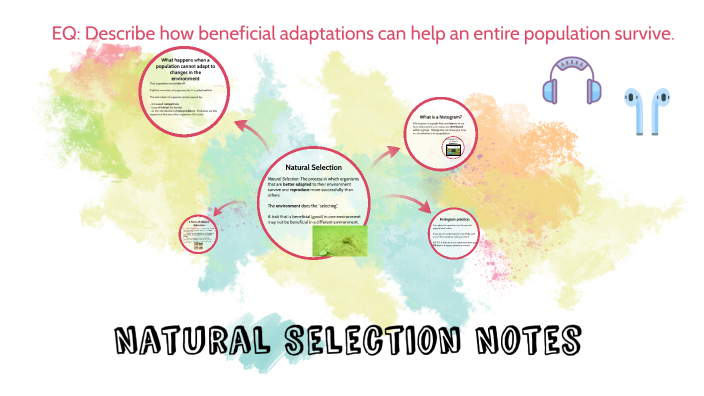 Natural Selection Notes by Brandy Parker on Prezi