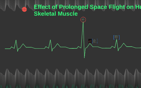 Effect of Prolonged Space Flight on Human Skeletal Muscle by Evan M on ...