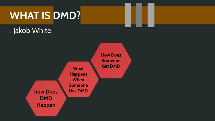 DMD model by Jakob White on Prezi