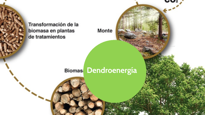 Dendroenergía by Armando Villanueva on Prezi