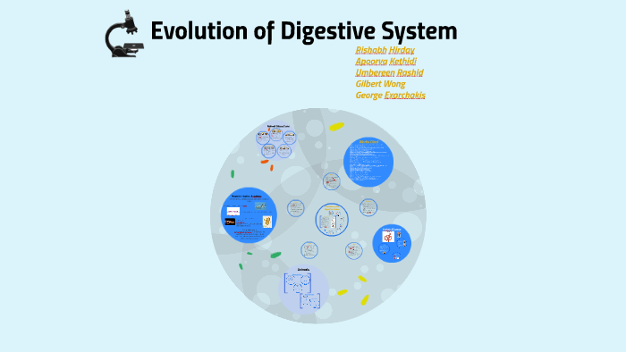 Evolution of the Digestive System by Rishabh Hirday on Prezi