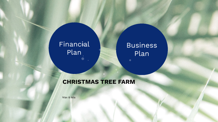 CHRISTMAS TREE FARM BUSINESS PLAN by Isla Pollard on Prezi