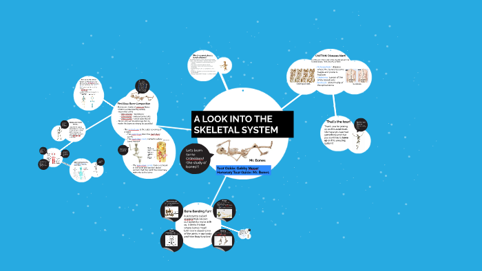 A LOOK INTO THE SKELETAL SYSTEM by Gabrielle Moser on Prezi