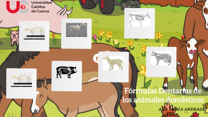 FORMULAS VERTEBRALES by ana mari andrade on Prezi