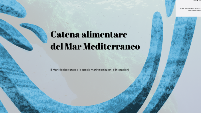 Catena alimentare del Mar Mediterraneo by Giulia Garavelli on Prezi