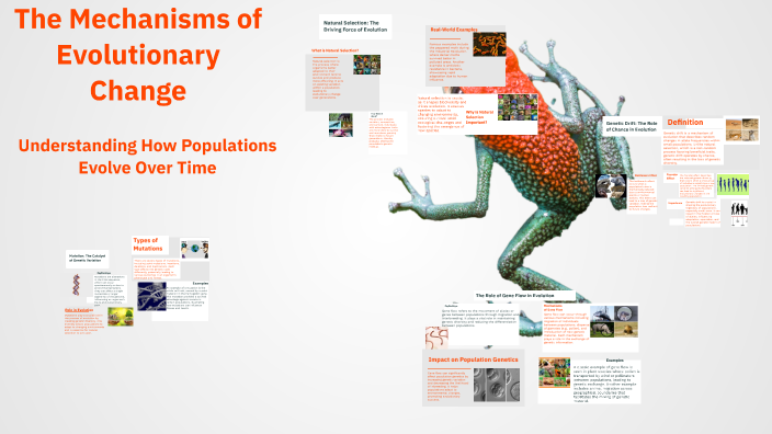 The Mechanisms of Evolutionary Change by Felicia Bowers on Prezi
