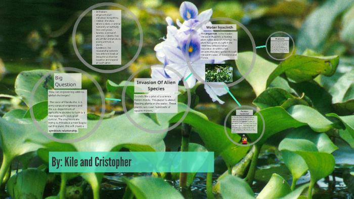 Invasion Of Alien Speices by Kile kim on Prezi