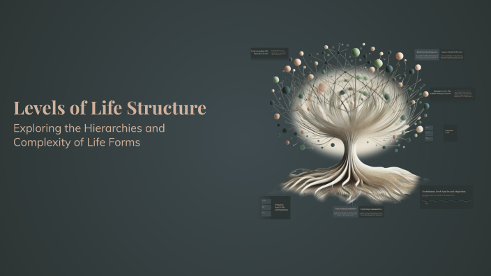 Levels of Life Structure by Charosoy Maxkamova on Prezi