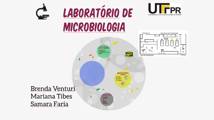 Laboratório de microbiologia by brenda venturi on Prezi