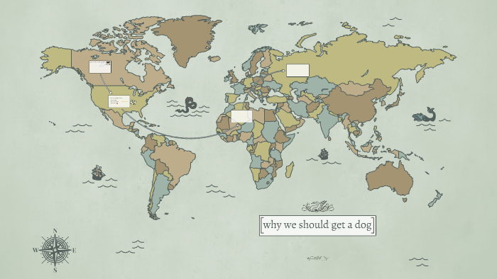 why we should get a dog by christopher sardo on Prezi
