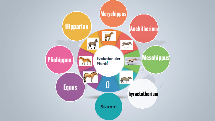 evolution der pferde 1 by gidi ade on Prezi