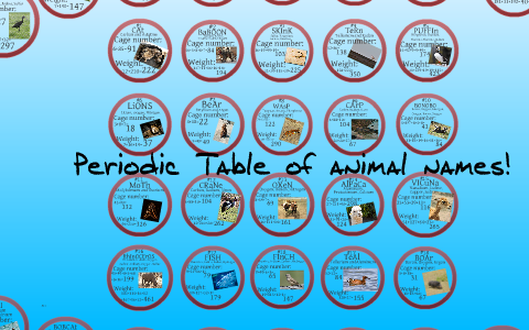 Periodic Table of Animal Names by Kirsten by Kirsten C on Prezi