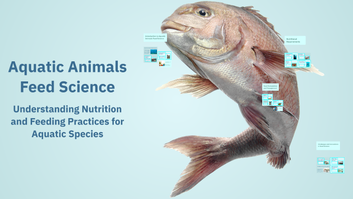 Aquatic Animals Feed Science by Ali Nekoueifard on Prezi