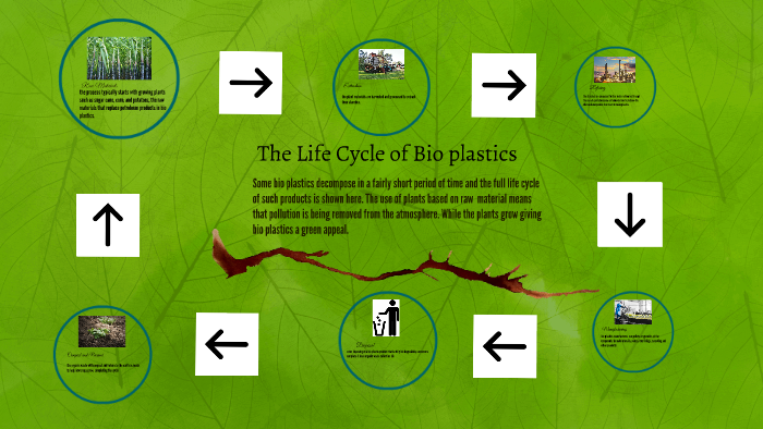 The Life Cycle of Bioplastics by mindi baires