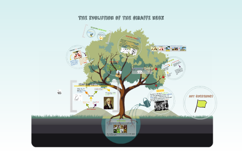 The Evolution of the Giraffe Neck by Aaron Marques on Prezi