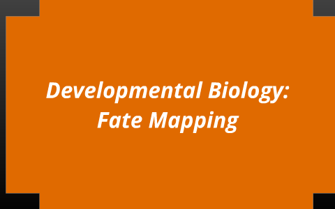 Developmental Biology: Fate Mapping by Moiz Malik on Prezi