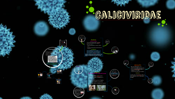 Caliciviridae by juan diego ospino sanchez on Prezi