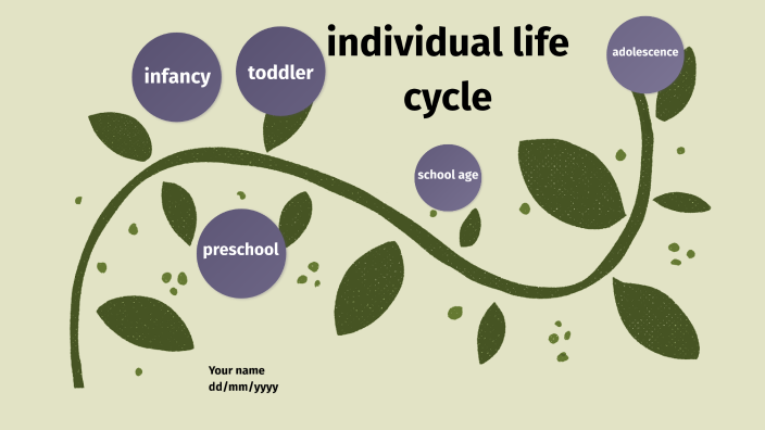 individual life cycle by LAUREN DAWDY on Prezi