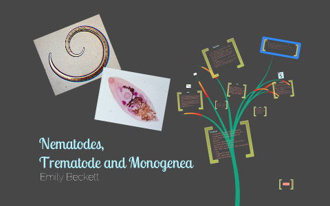 Nematodes, Trematode and Monogenea by Emily Beckett on Prezi