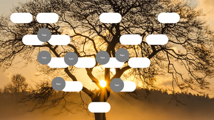 Lucas - Arbre Genealogique by Lucas Kaulaity on Prezi