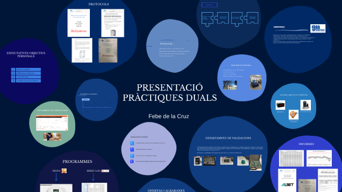 Presentación DUAL by Febe de la Cruz Marin on Prezi