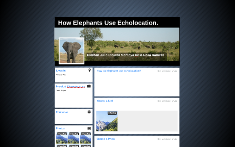 How Elephants Use Echolocation. by Dalton Holmes on Prezi