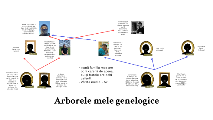 family tree by Alexei Paciu on Prezi