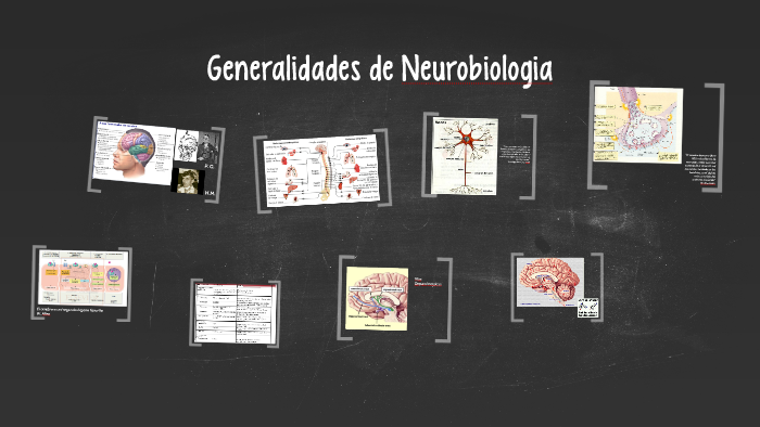 Generalidades de Farmaco by Emir Zeba on Prezi