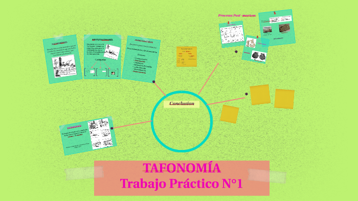 TAFONOMÍA by natalia caballero on Prezi