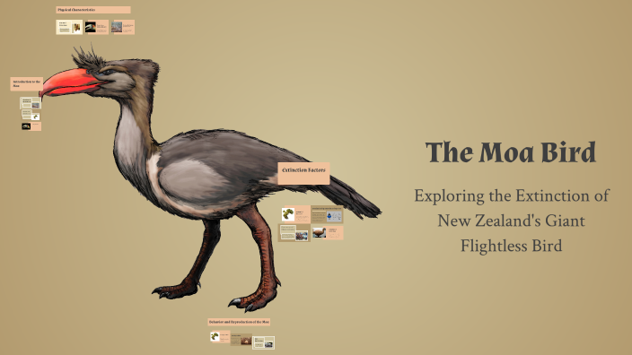 The Moa Bird by Milagros Soto on Prezi
