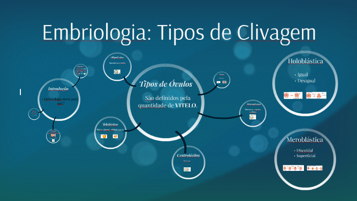 Embriologia: Tipos de Clivagem by Gabrielle Rodrigues on Prezi