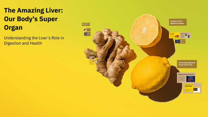 The Amazing Liver: Our Body's Super Organ by Umair Nadeem on Prezi