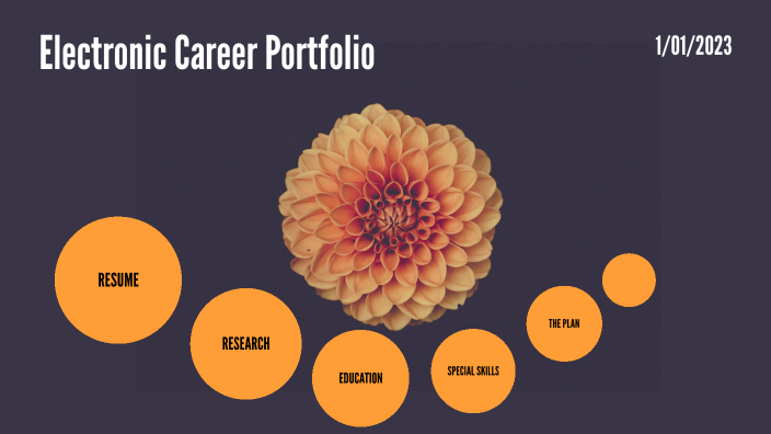 Electronic Career Portfolio by storm miner