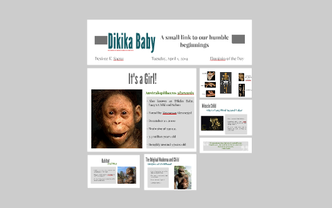 Dikika Baby, A. afarensis by Desiree Saenz on Prezi