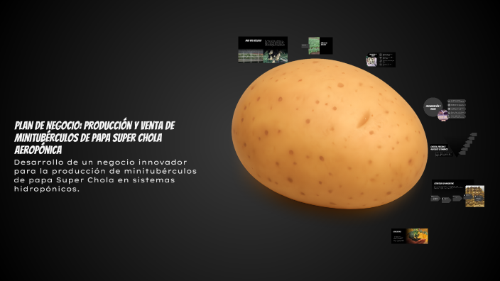 Plan de Negocio: Producción y Venta de Minitubérculos de Papa Super ...