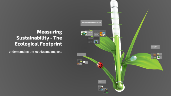 Measuring Sustainability - The Ecological Footprint by riehm hamad on Prezi
