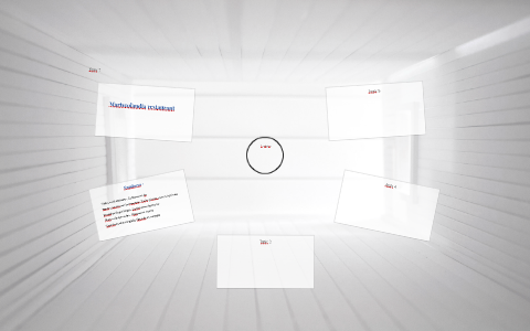 Mariscolandia restaurant by graciela legaspi on Prezi