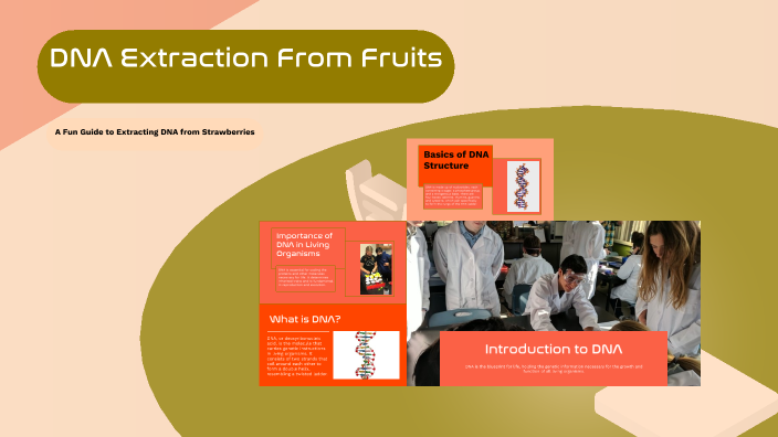 DNA Extraction From Fruits by FrostKight on Prezi