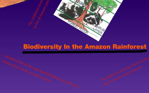 Biodiversity in the amazon rainforest by sam huerta on Prezi