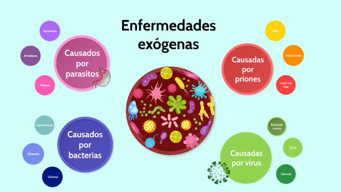 Enfermedades Exógenas by Arianne Victoria on Prezi