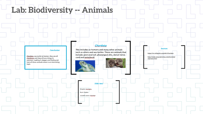 Lab: Biodiversity -- Animals by on Prezi