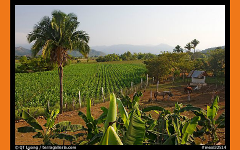 La Importacia del ejido en México by beto ochoa on Prezi