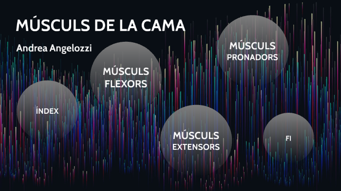 MÚSCULS DE LA CAMA by Andrea Angelozzi on Prezi