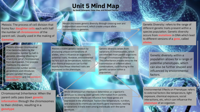Unit 5 Mind Map by David Velazquez on Prezi