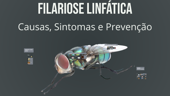 Filariose Linfática by Ana Paula Da Silva on Prezi