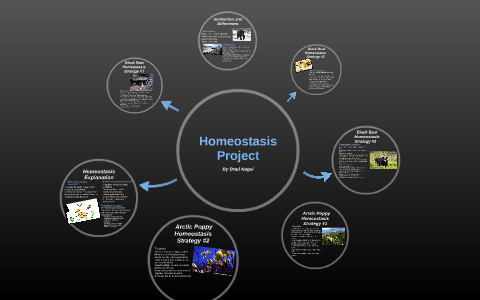 Homeostasis Project by Jordan B.